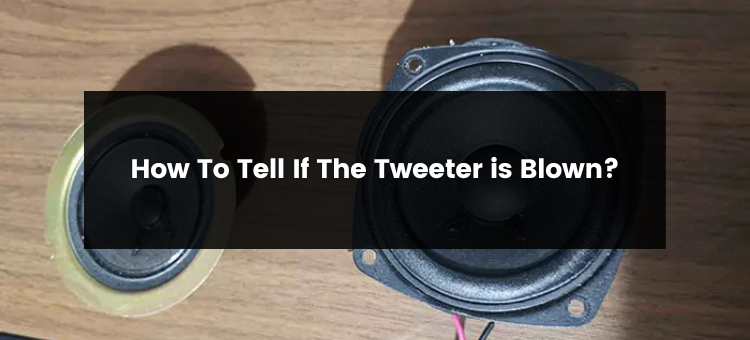 How To Tell If The Tweeter is Blown? | by Techcramps | Medium