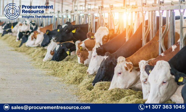 Cattle Price Trends, Forecasts, Price History, and Market Analysis | by ...
