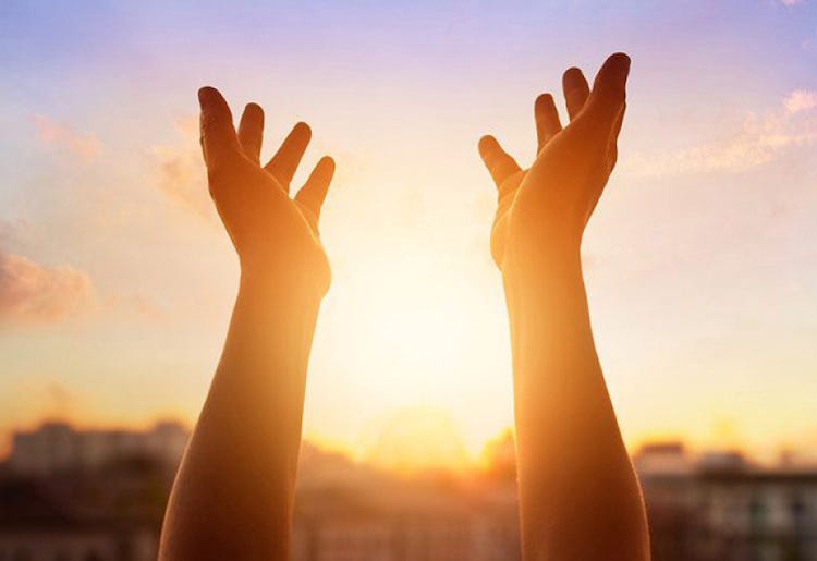 You Are the Light. You are the Light. | by Catherine Shainberg, PhD ...