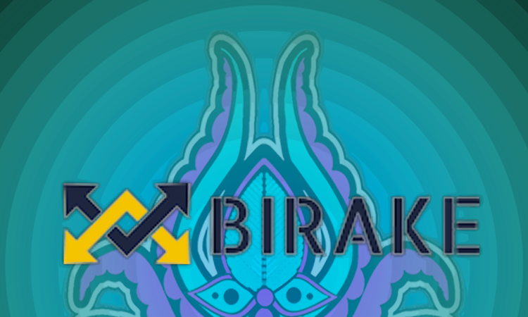 Birake: Pertukaran Crypto Label Putih | by jordan abe | Medium