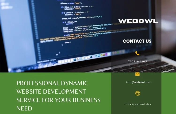 Professional dynamic website development service for your business ...