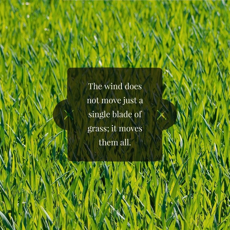 Grass. Our choices do not simply affect us… | by Matthew Kramer-LaPadula | Medium
