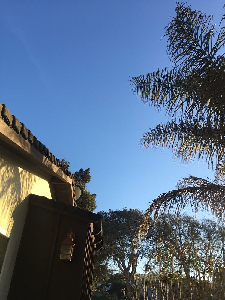 Silicon Valley has not only tech city but also outdoor to live the better life. | by Hidetaka Ko ...