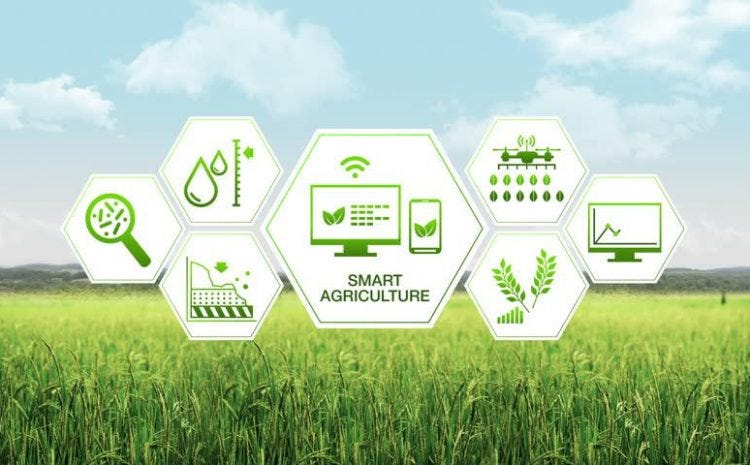 Internet of Things Dalam Agriculture : Teknologi Untuk Smart Farming dan Manfaat IoT Untuk ...