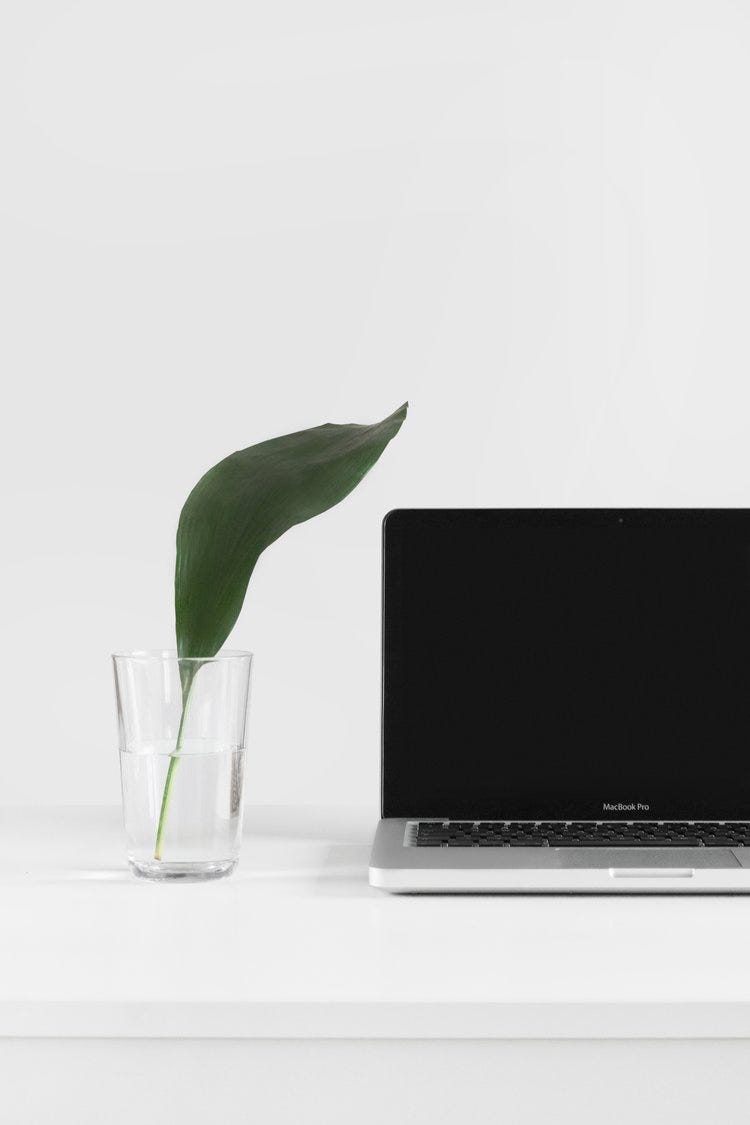 Unsplash partners with Product Hunt to make your landing pages ...