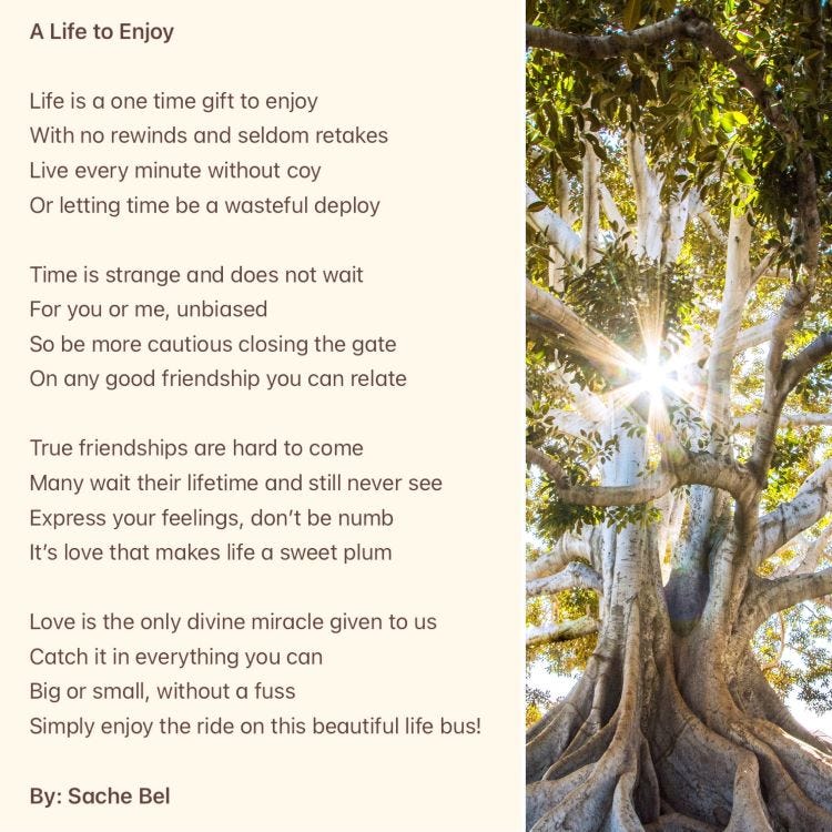 A Life to Enjoy (Poem) - ILLUMINATION - Medium