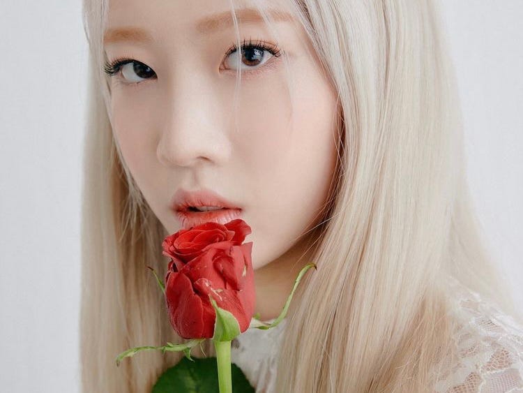 blooming rose on lunar eclipse - athalea - Medium