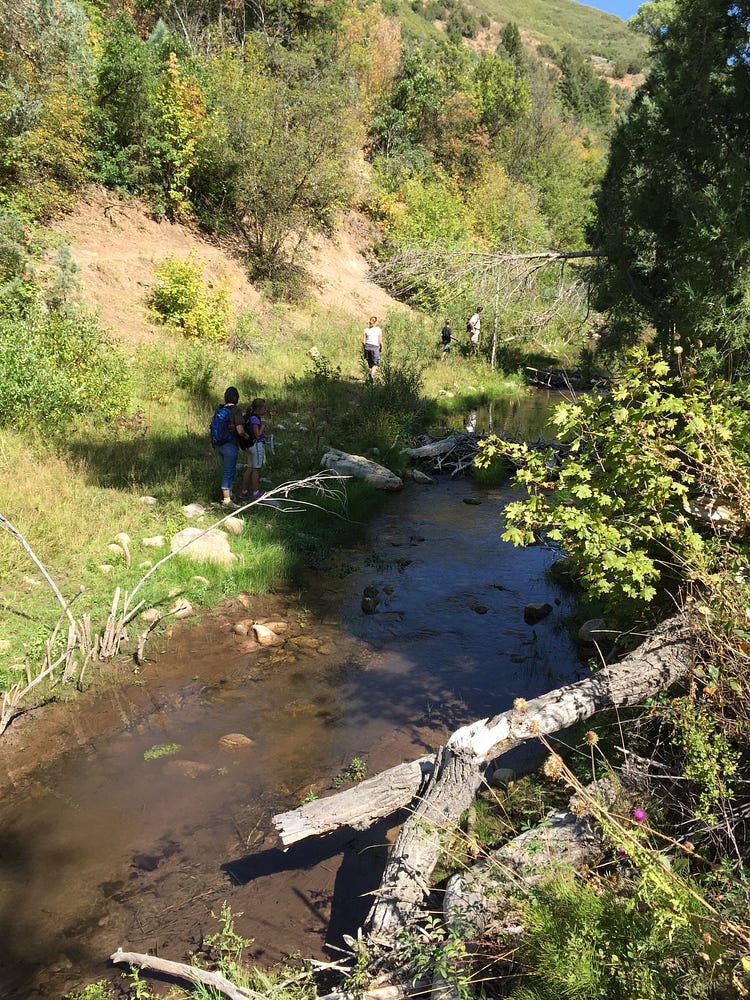 Wardsworth Canyon. Drive up Hobble Creek Canyon past the… | by Alan ...