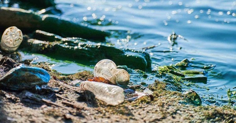 How to Reduce Pollution: | by Sara Hanif | Sep, 2024 | Medium