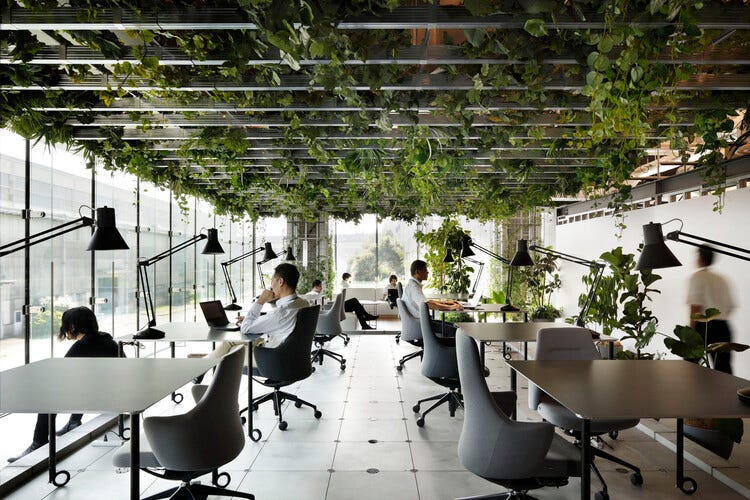 Bringing Nature Indoors: The Power of Biophilic Offices in Transforming ...
