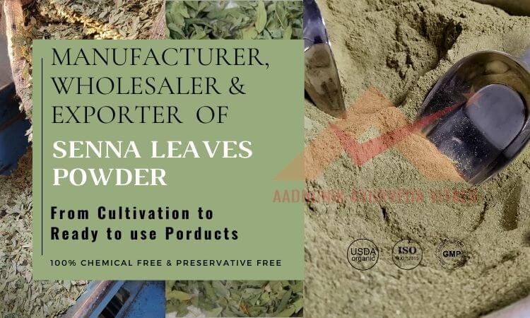 Senna Leaves Powder Manufacturer & Supplier in India - Aadhunik ...