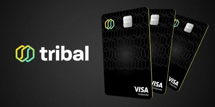 The Tribal story. The startup economy is booming in… | by chukwu ...