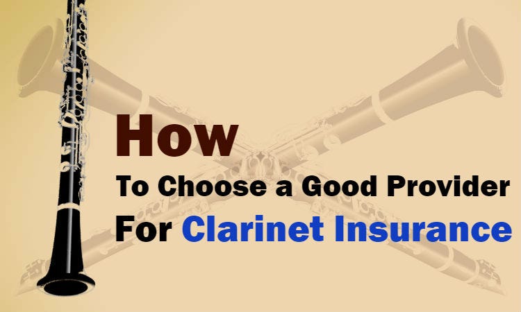 How To Choose a Good Provider for Clarinet Insurance | by ...