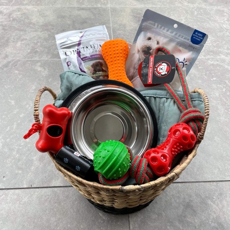 Doggo Gift Basket - Gifts On The Gold Coast - Medium