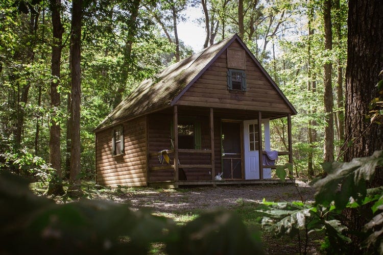 Forest Dwelling. I am of a group of people who can say… | by Keen D ...