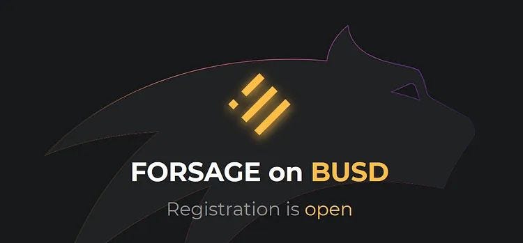 What is FORSAGE BUSD? How to register? In simple steps… | by KamBohZada ...