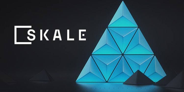 How to use SKALE?. 1.What is scale and how does it work? | by Mikhail ...