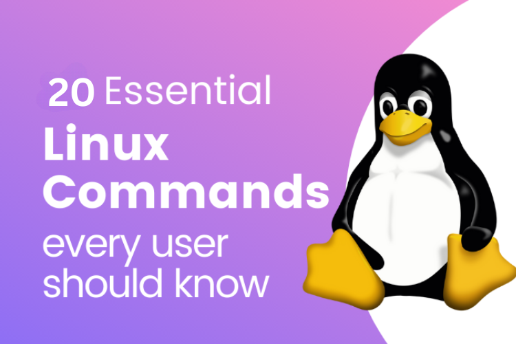 Get More Done in Less Time: 20 Essential Linux Commands for 80 % of Tasks | by Youssef Hosni ...