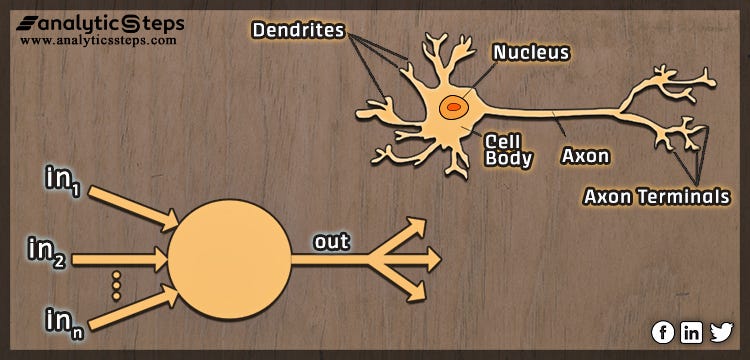 Understanding the Perceptron Model in a Neural Network | by Neelam Tyagi | Analytics Steps | Medium