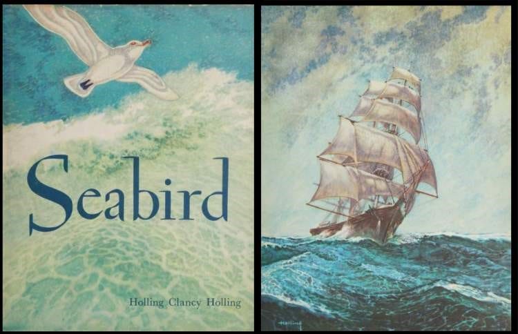 ‘Seabird’ — An Award-Winning Children’s Book That Should Be Boring | by ...