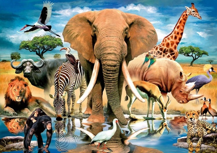Which Animal Would Wear the Crown if Humans Disappeared? | by Little ...