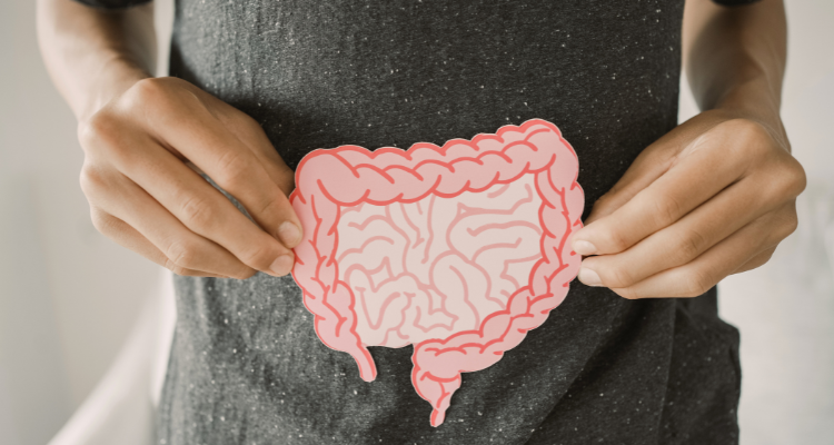 Inside Out: The Dynamic Relationship Between Your Gut and Brain | by ...