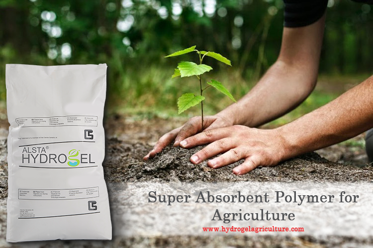 ALSTA Hydrogel — The best water gel for plants | by Alsta Hydrogel | Medium