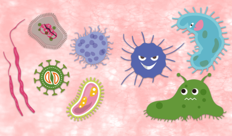 Why Are Superbugs Dangerous? Here’s What You Need to Know | by K. Evans ...