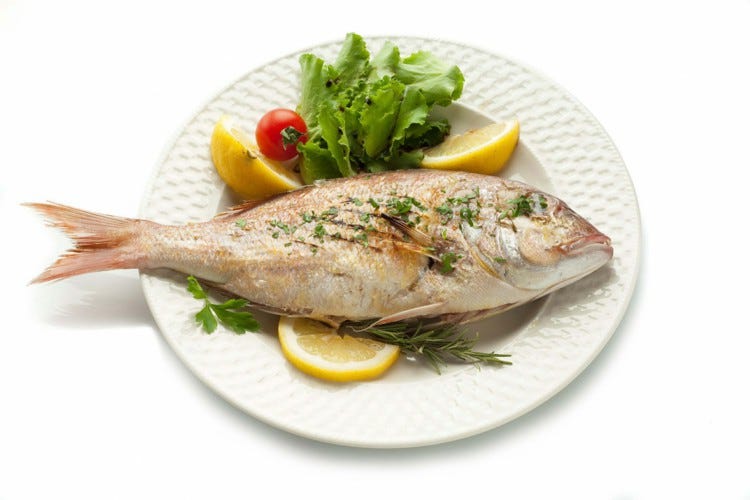 6 Reasons Why Eating Fish is Good for Health | by John Carter | Medium