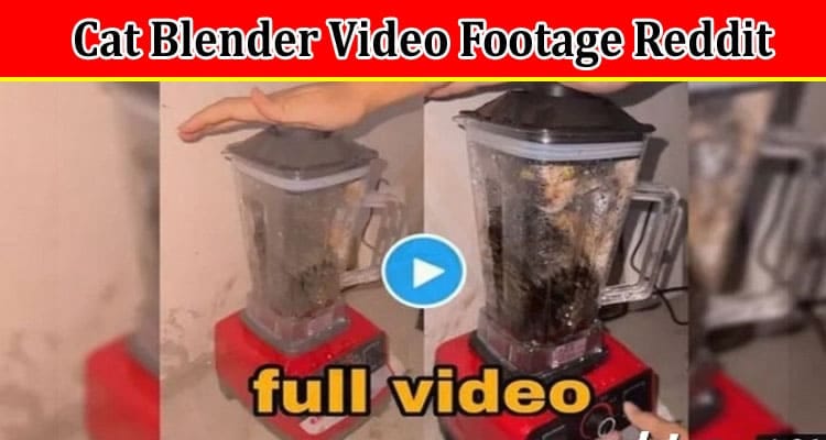 Watch [VIRAL~Video] Cat Blender Video On Twitter Original | by viral , trending | Medium