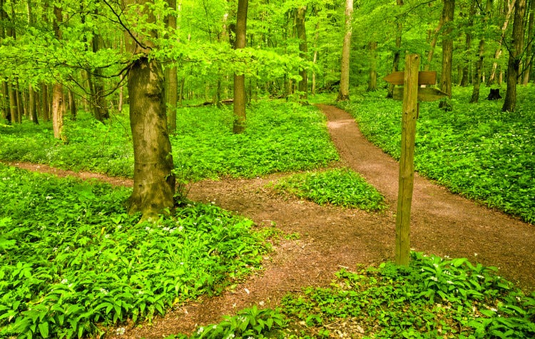 Reflecting on the Path Taken. Today, we are celebrating a milestone ...