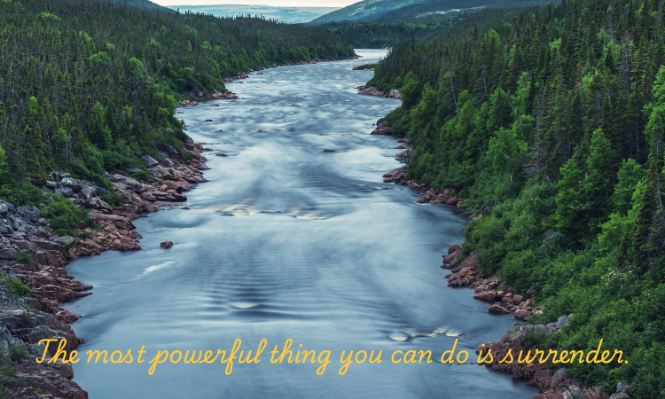 The Power of Surrender: How Letting Go Transformed My Life | by ...