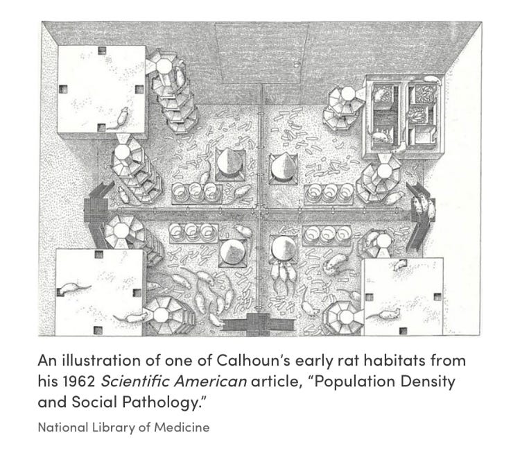 Mouse Utopia: A Study in Population Collapse and Its Parallels to ...