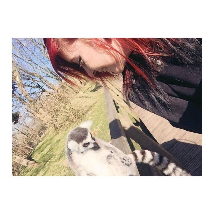 Here’s me with a lemur to say hello | by Courtney Hackney Pickup | Medium
