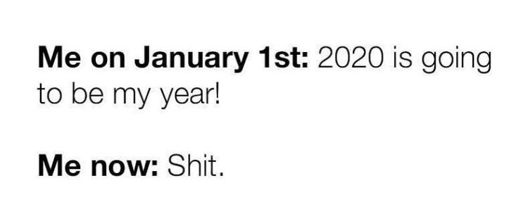 Why Do We Create Memes That Make Fun of the Year 2020? | by Sophie Holt ...