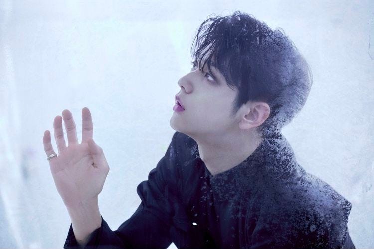 Mousche's POV. The theory of Vacarse | by Kieya M. | Medium