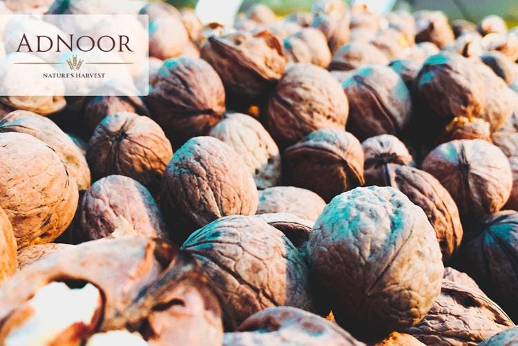 Health Benefits And Culinary Uses Of Walnuts - ad noor - Medium