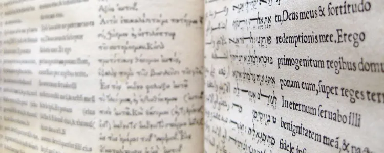 Theological Language & Divided Christianity | Ryan Lindsey | I AM Catholic