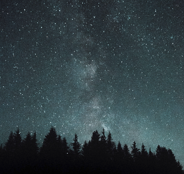 Tracking Objects In A Video Using Particle Filters By Ankit Goyal Medium