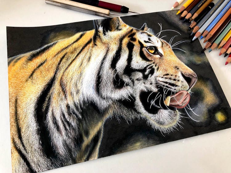 I can draw a Charcoal color sketch - Somia - Medium