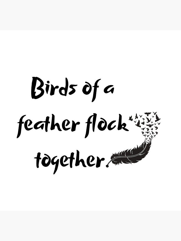 Birds of a Feather Flock Online. Feeling Connected | by Douglas | Medium