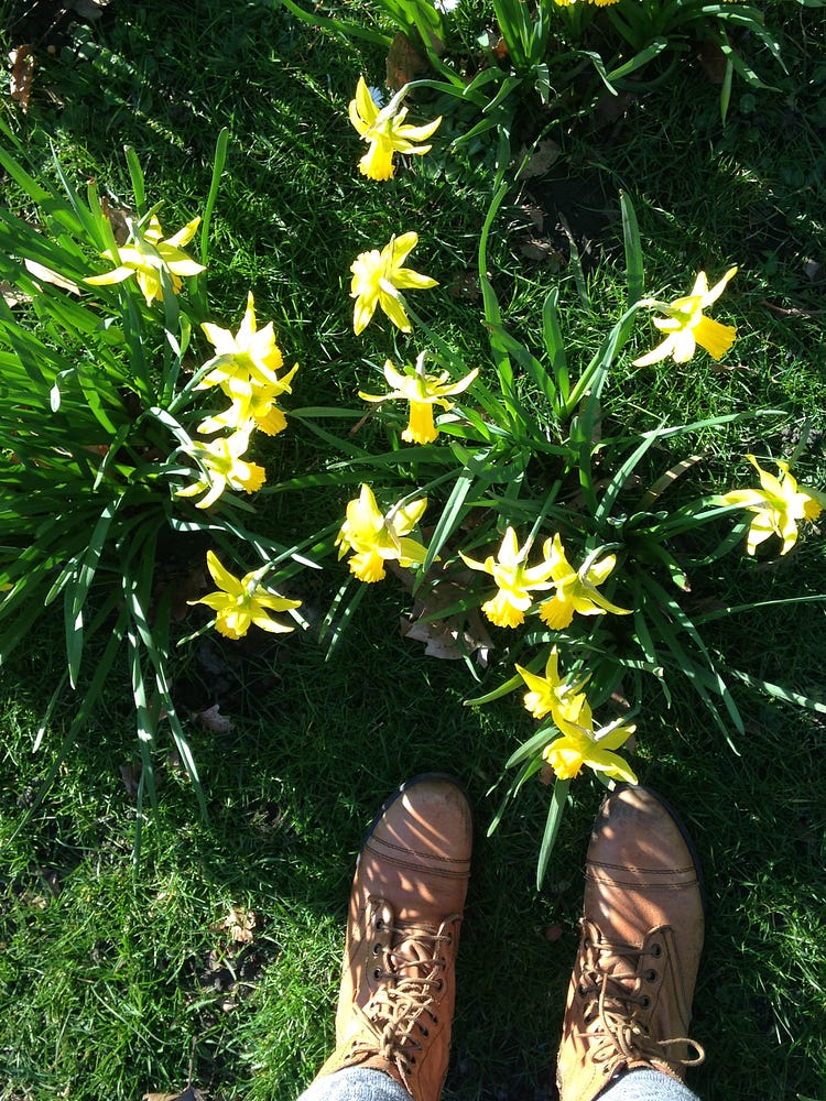 Bearings. Daffodils bring London back to life in… | by Ceejay Girard ...