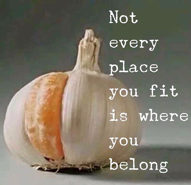 Oranges Fit in Garlic, Too — Find Your Orange | by Catherine F. | Medium