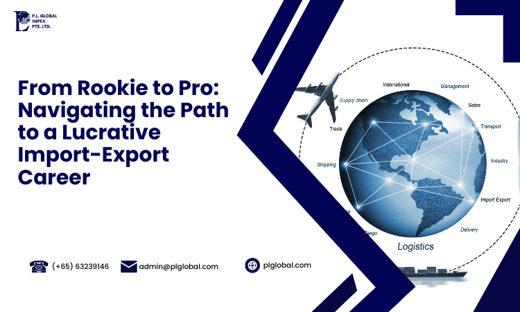 From Rookie to Pro: Navigating the Path to a Lucrative Import-Export ...