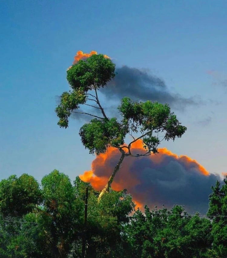 24 Valuable Lessons I’ve Learned by Turning 24 | by Dave | Medium