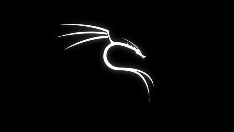 Understanding The Benefits Of Using Kali Linux For Penetration Testing