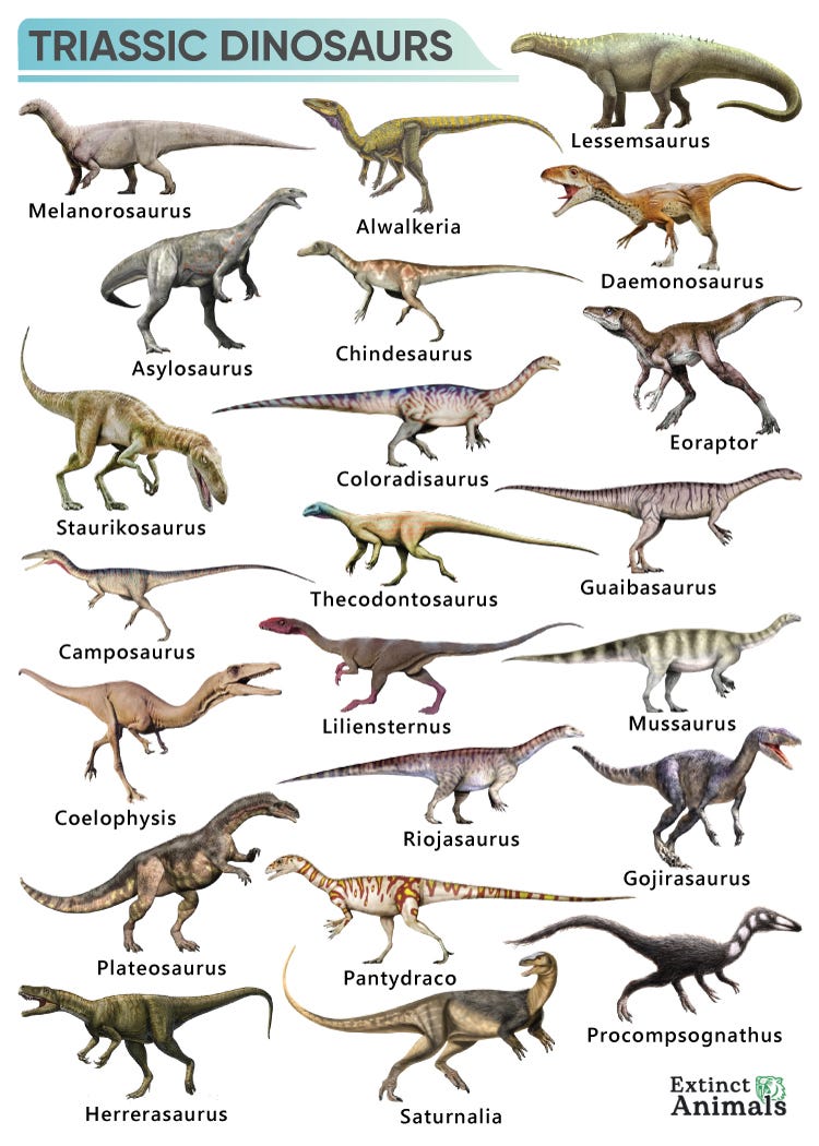 The Triassic Period To Most Science Can Seem Boring By Jackson Polidori Medium