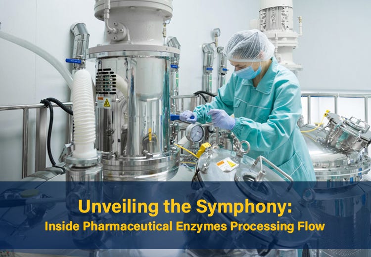 Exploring the Processing Flow of Pharmaceutical Enzymes | by ...
