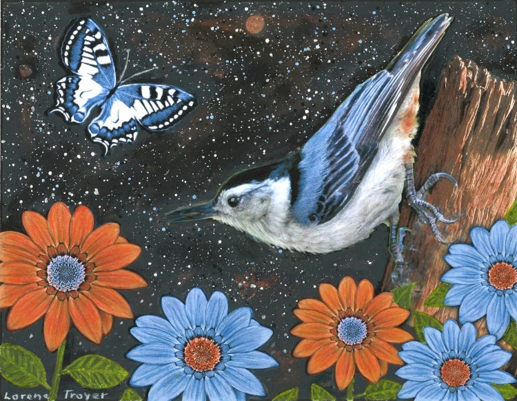 Make Your Own Framed Art with Nuthatch Coloring Page | by Lorene Troyer ... Make Your Own Framed Art with Nuthatch Coloring Page | by Lorene Troyer ...
