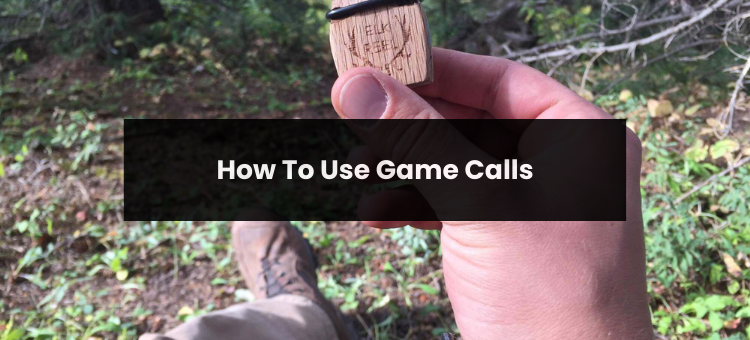 How To Use Game Calls?. Among the most important tools in a… | by ...